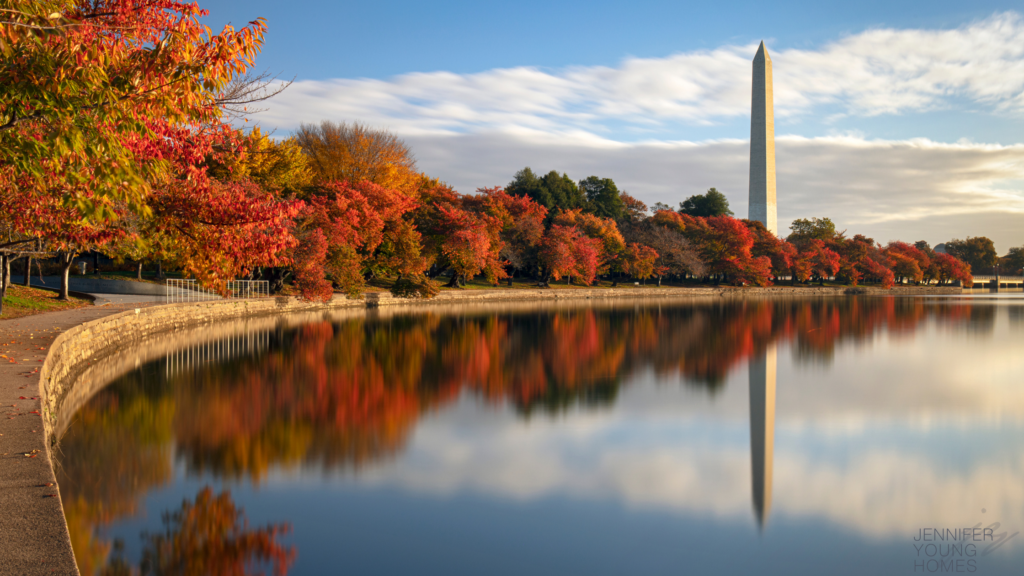 Autumn’s Palette: Your Guide to Fall Foliage in the DMV ...