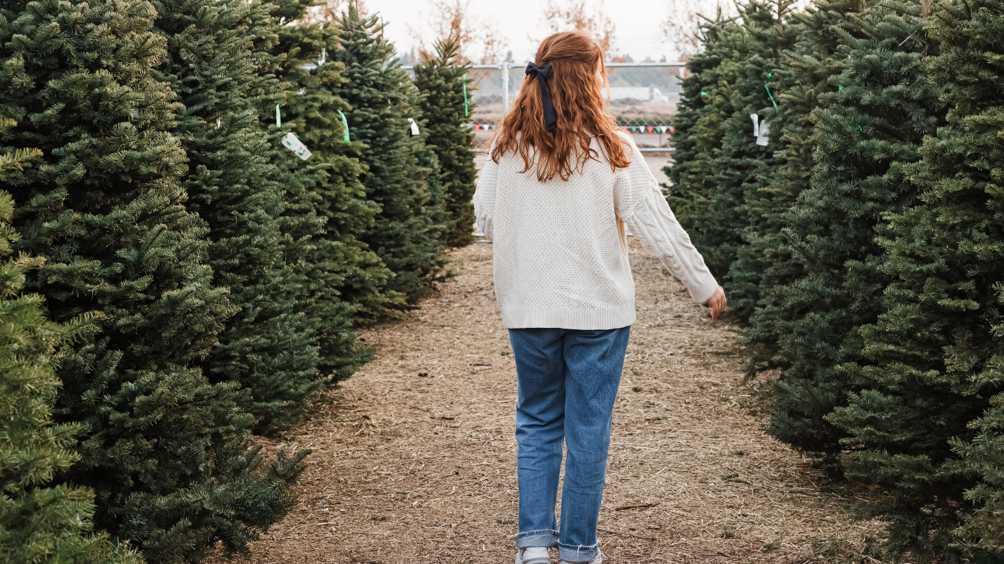 DMV Christmas Tree Guide: Tree Farms, Local Lots & Home-Prep Tips ...